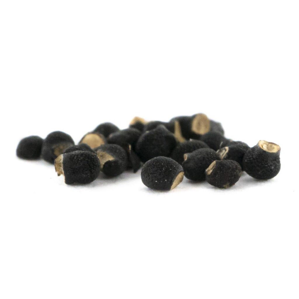 Peyote Button Seeds | Peyote Cactus Seeds For Sale